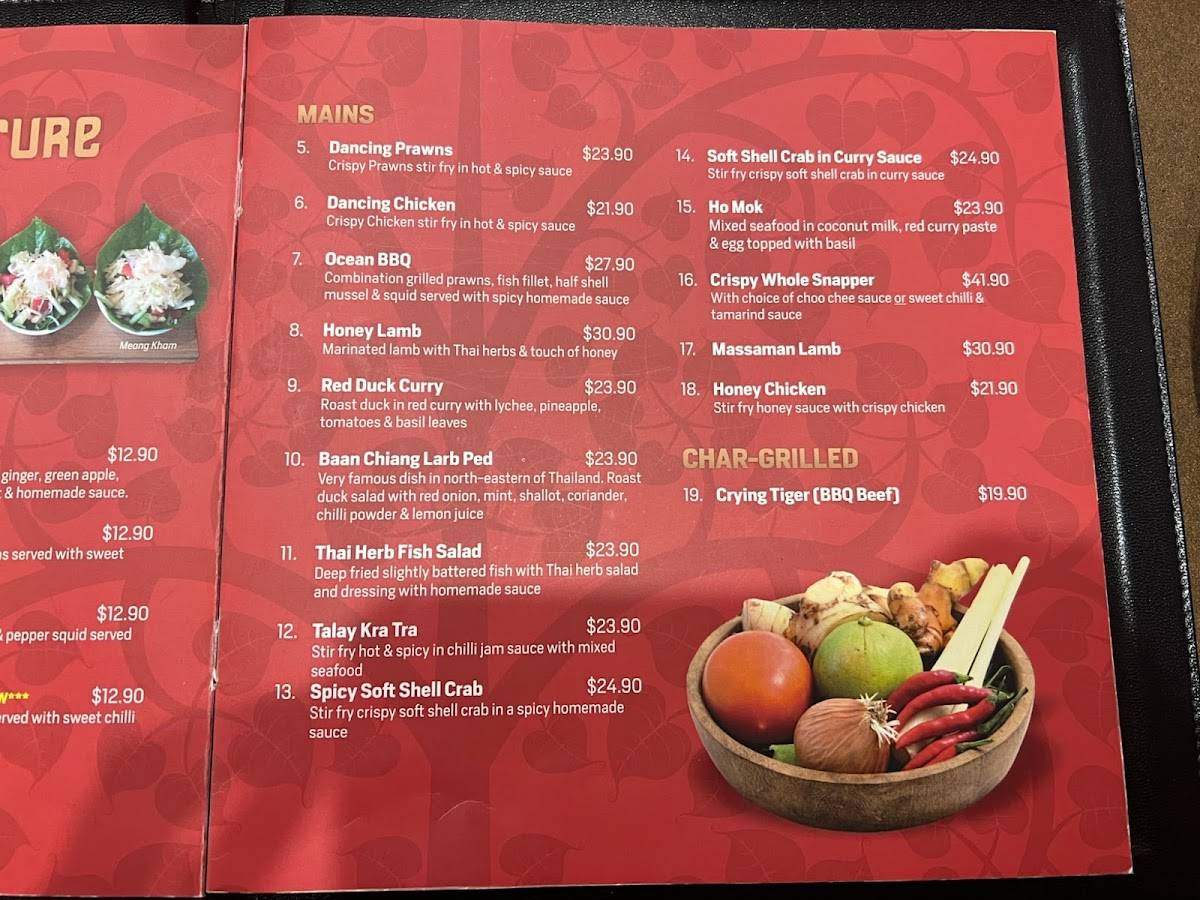 Menu at Baan Chiang restaurant, Rydalmere