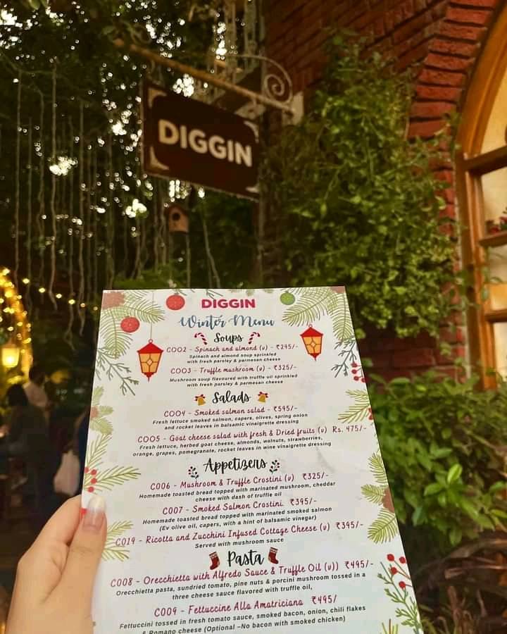 Menu at Diggin Cafe, New Delhi, Santushti Shopping Complex Shop No-10 ...