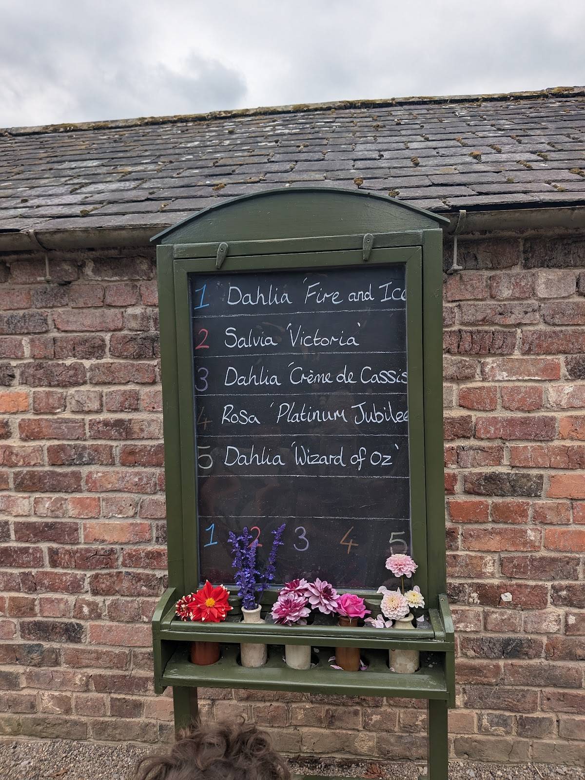 Menu at Erddig Restaurant - National Trust, Wrexham