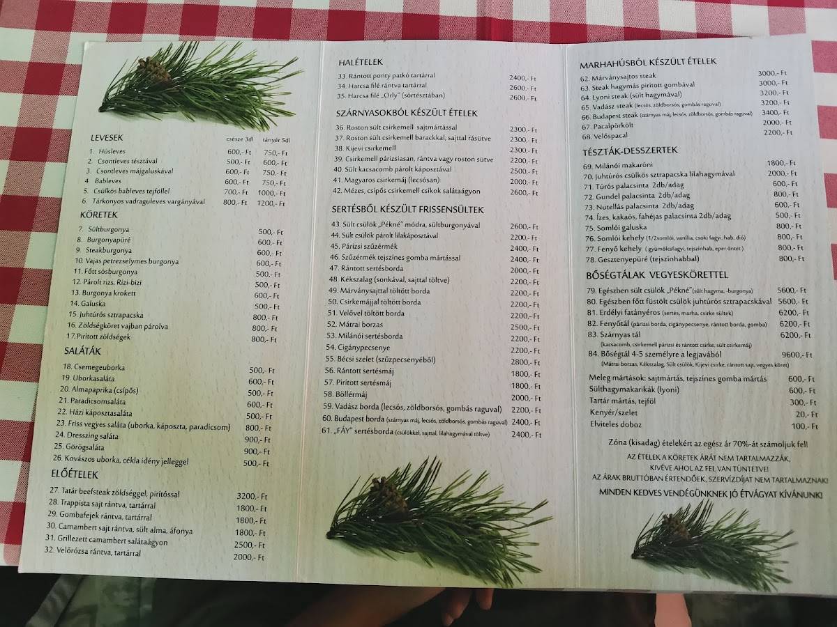 Menu at Fenyő Vendéglő restaurant, Budaörs