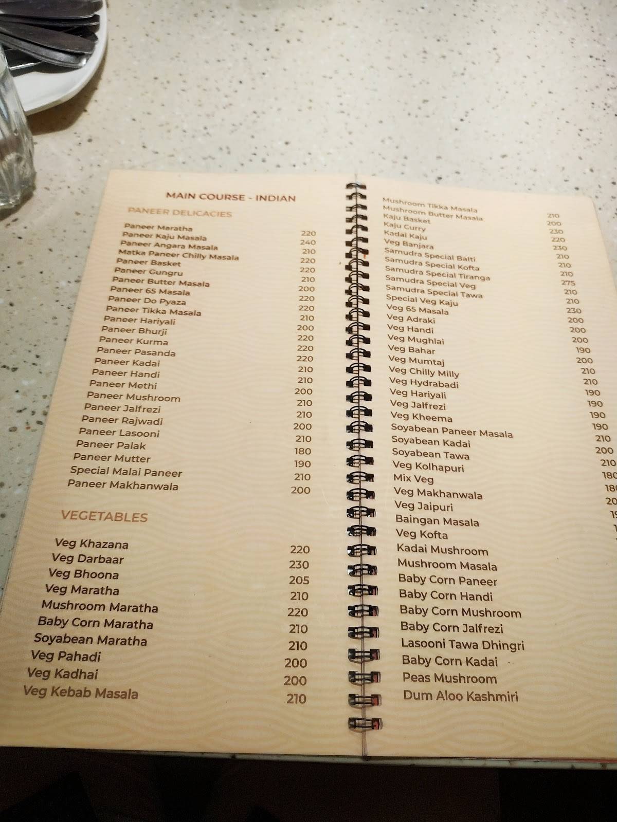 Menu at Hotel Samudra, Pune, Karve Road