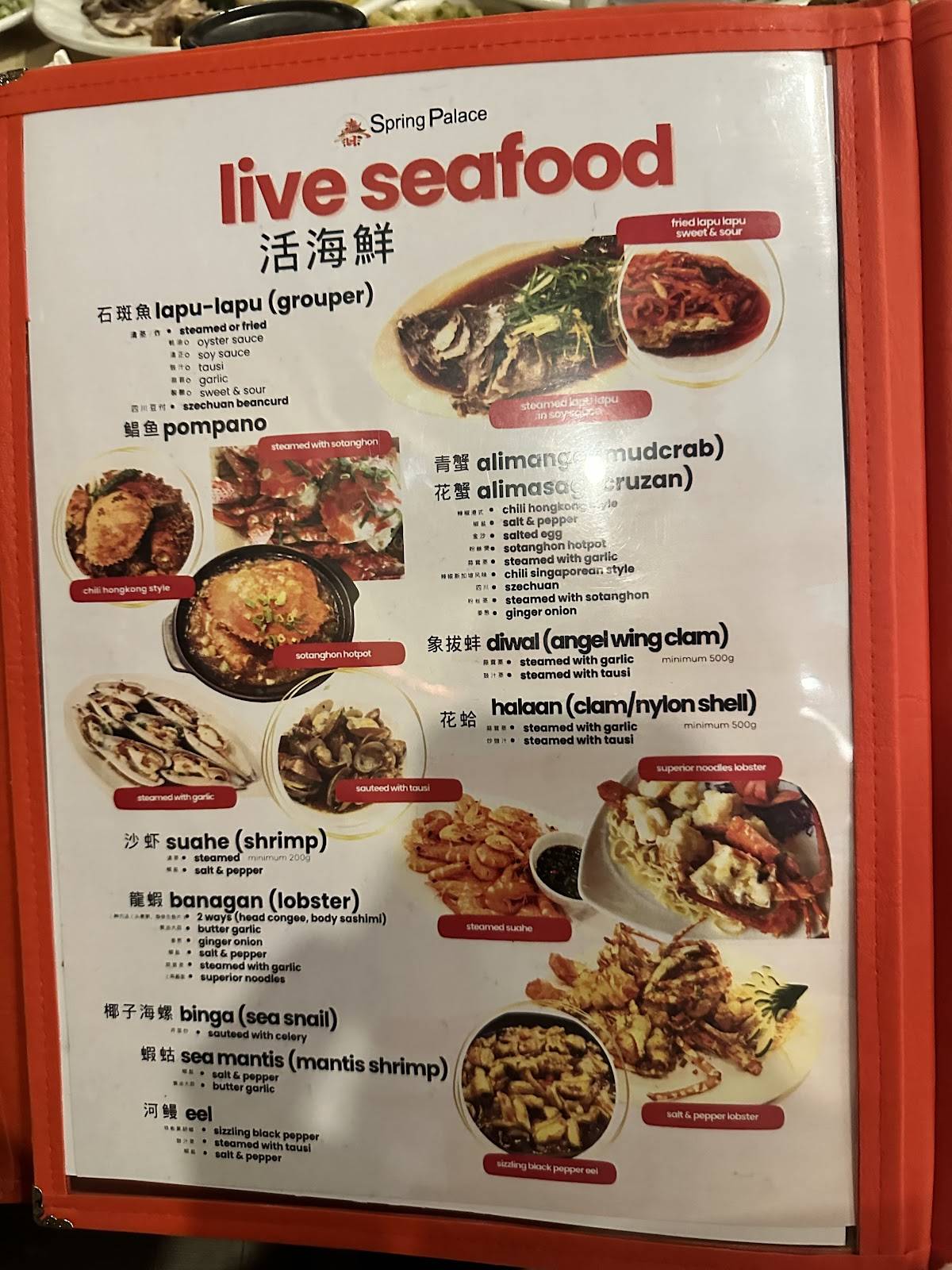 Menu at Spring Palace Seafood Restaurant, Iloilo City
