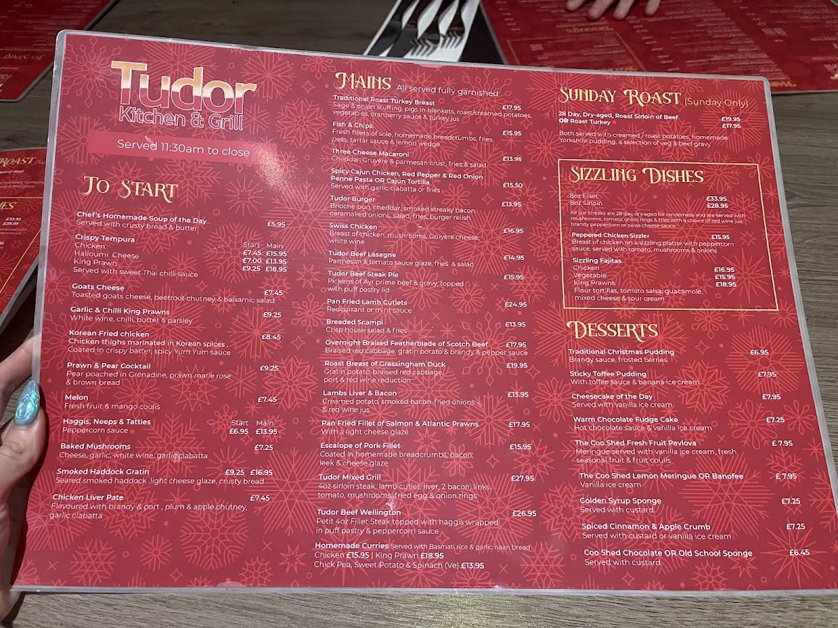 Menu at Tudor pub & bar, Ayr