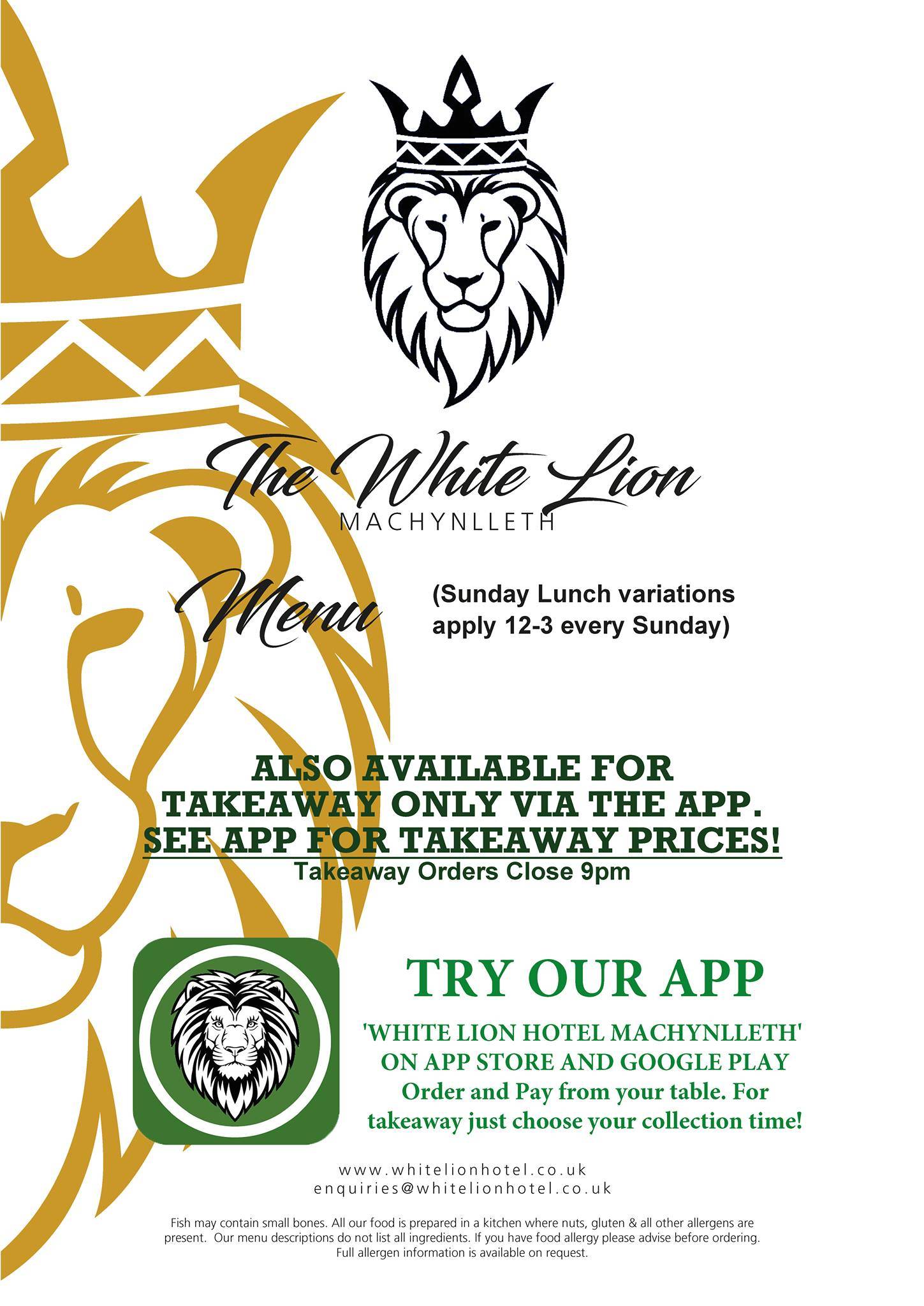 Menu at White Lion Hotel pub & bar, Machynlleth