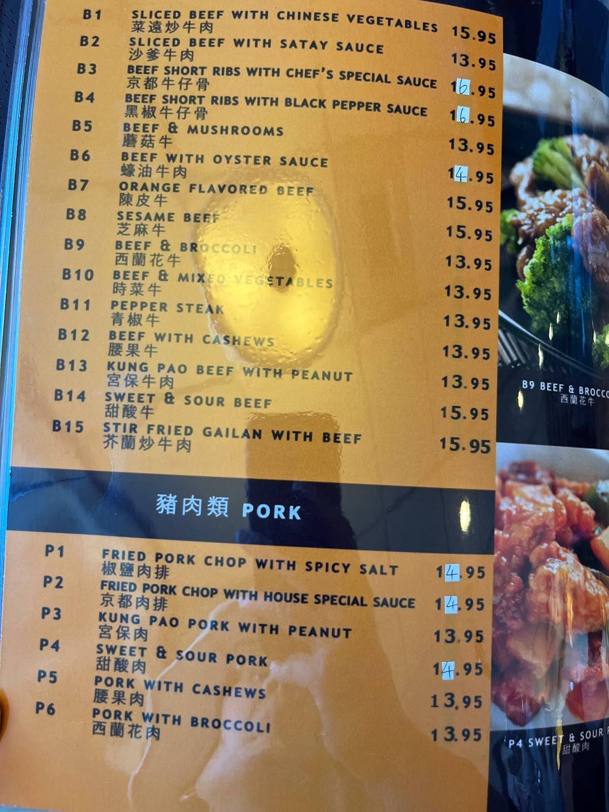 Menu at Asia Palace restaurant, Winnipeg, Pembina Hwy