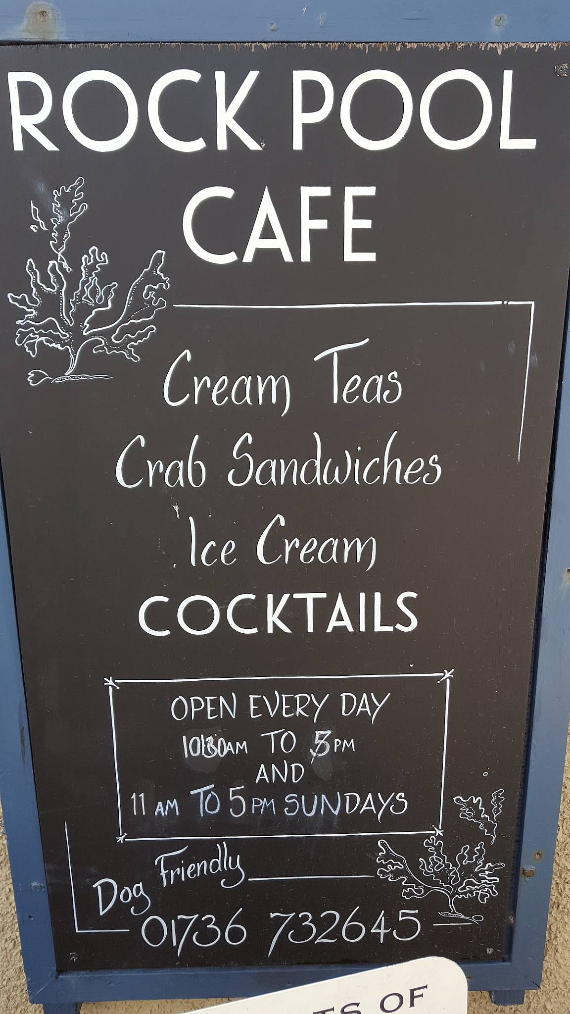 Menu at The Rock Pool Cafe, Penzance