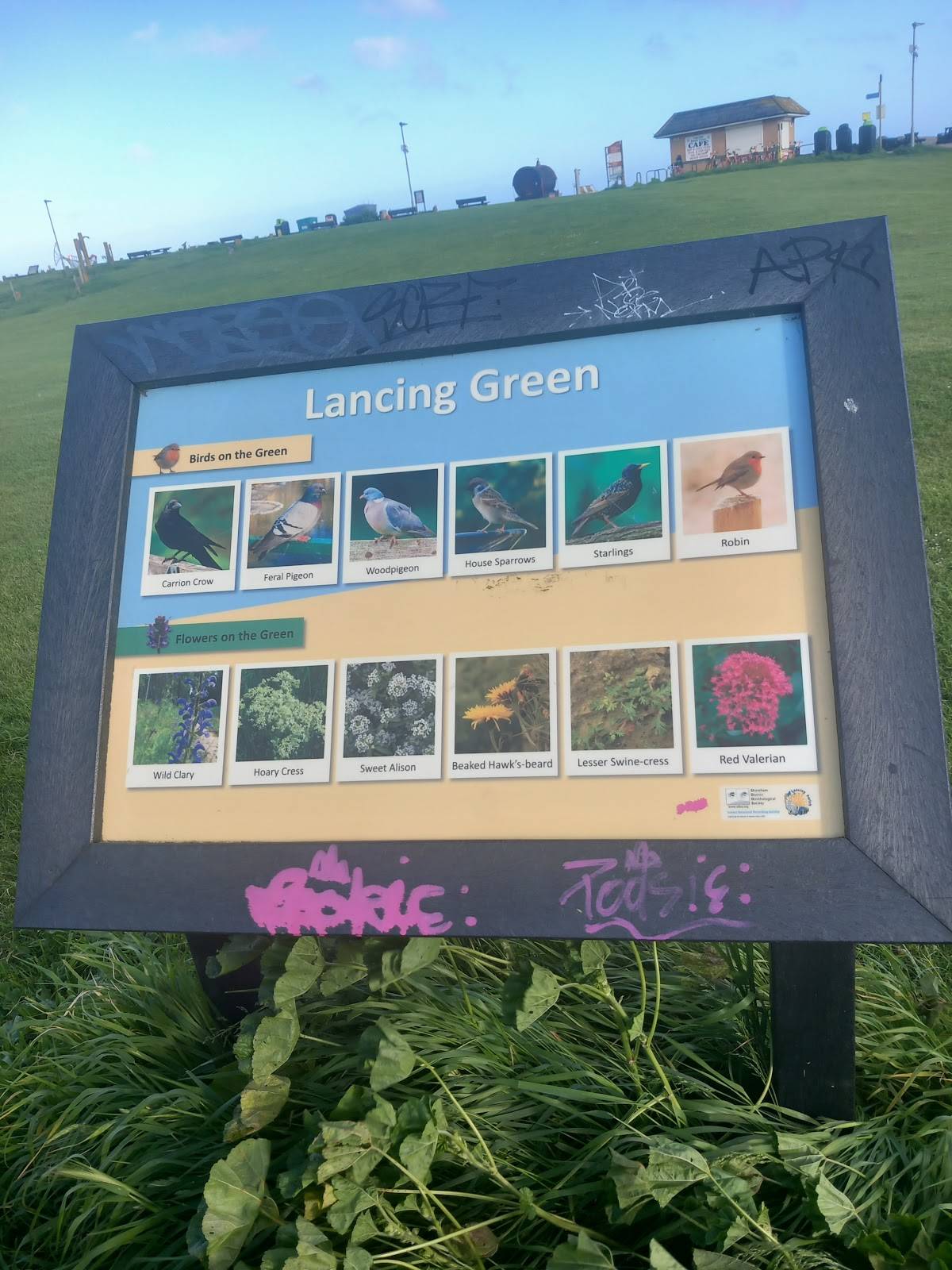 Menu at Perch on Lancing Beach cafe, Lancing