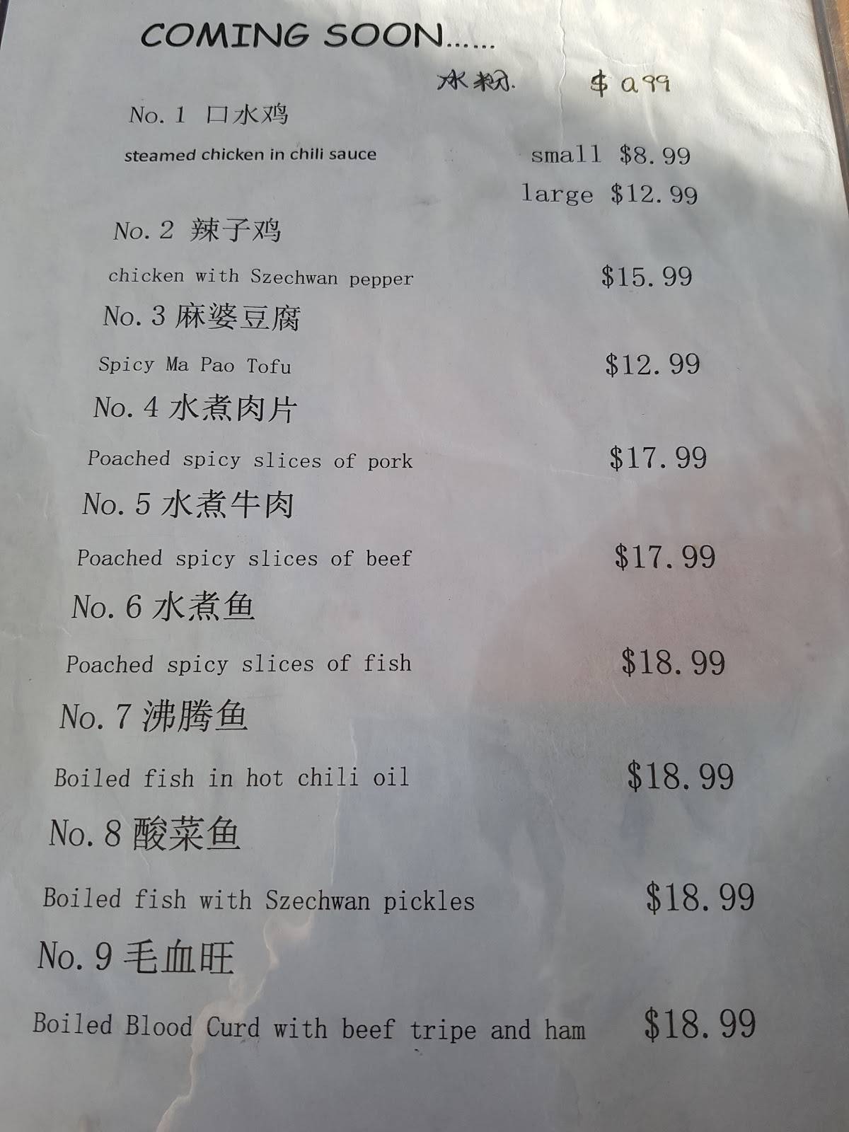 Menu at Asia Palace restaurant, Winnipeg, Pembina Hwy