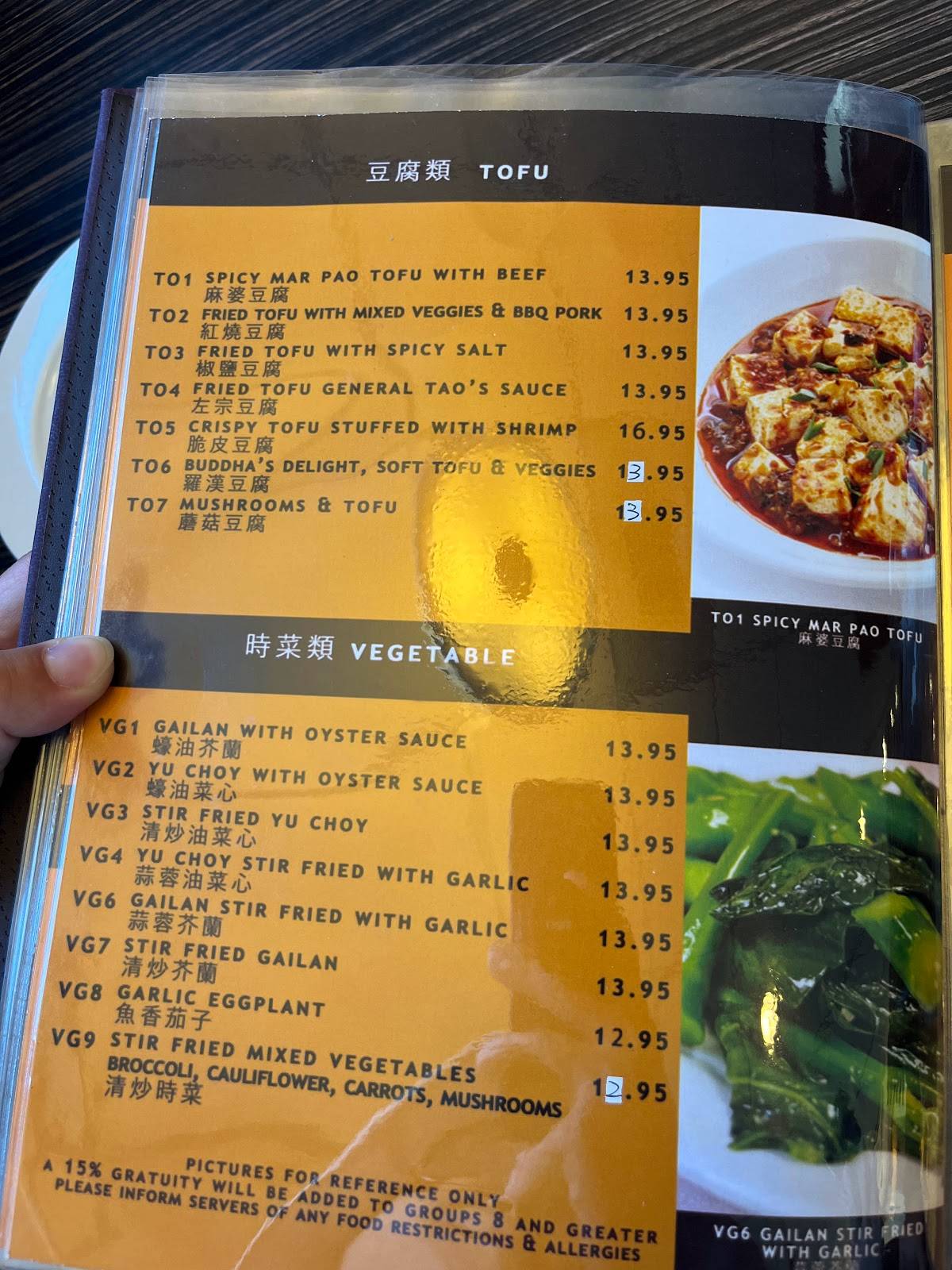Menu at Asia Palace restaurant, Winnipeg, Pembina Hwy