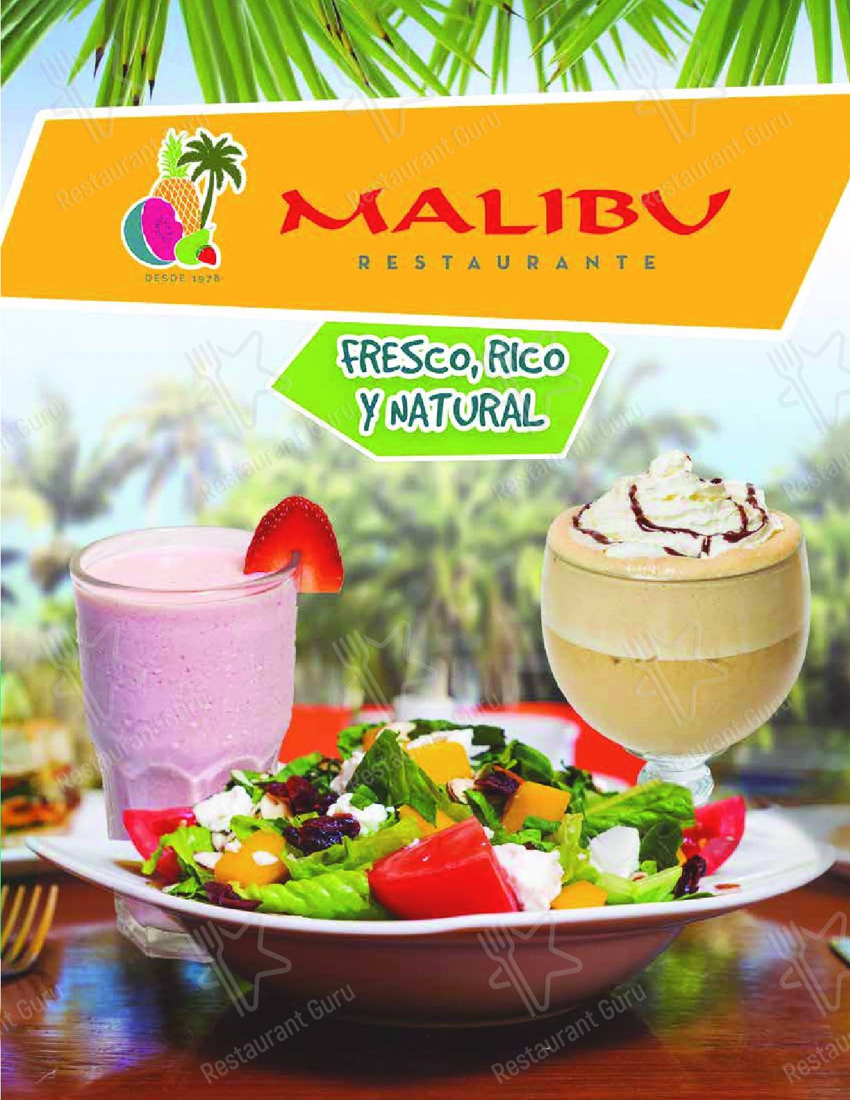 Carta de Restaurante Malibu, Nuevo Vallarta