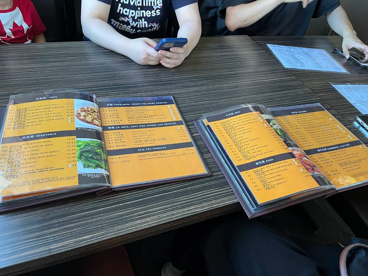 Menu at Asia Palace restaurant, Winnipeg, Pembina Hwy