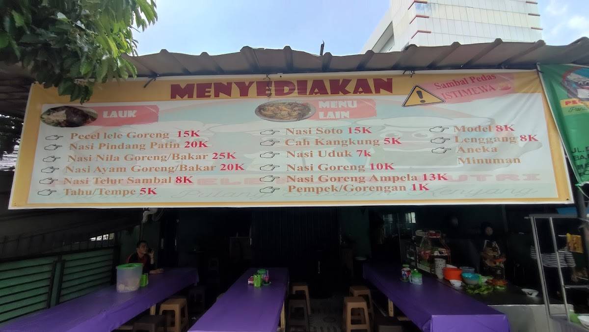 Menu at Pecel Lele Putra Putri restaurant, Palembang