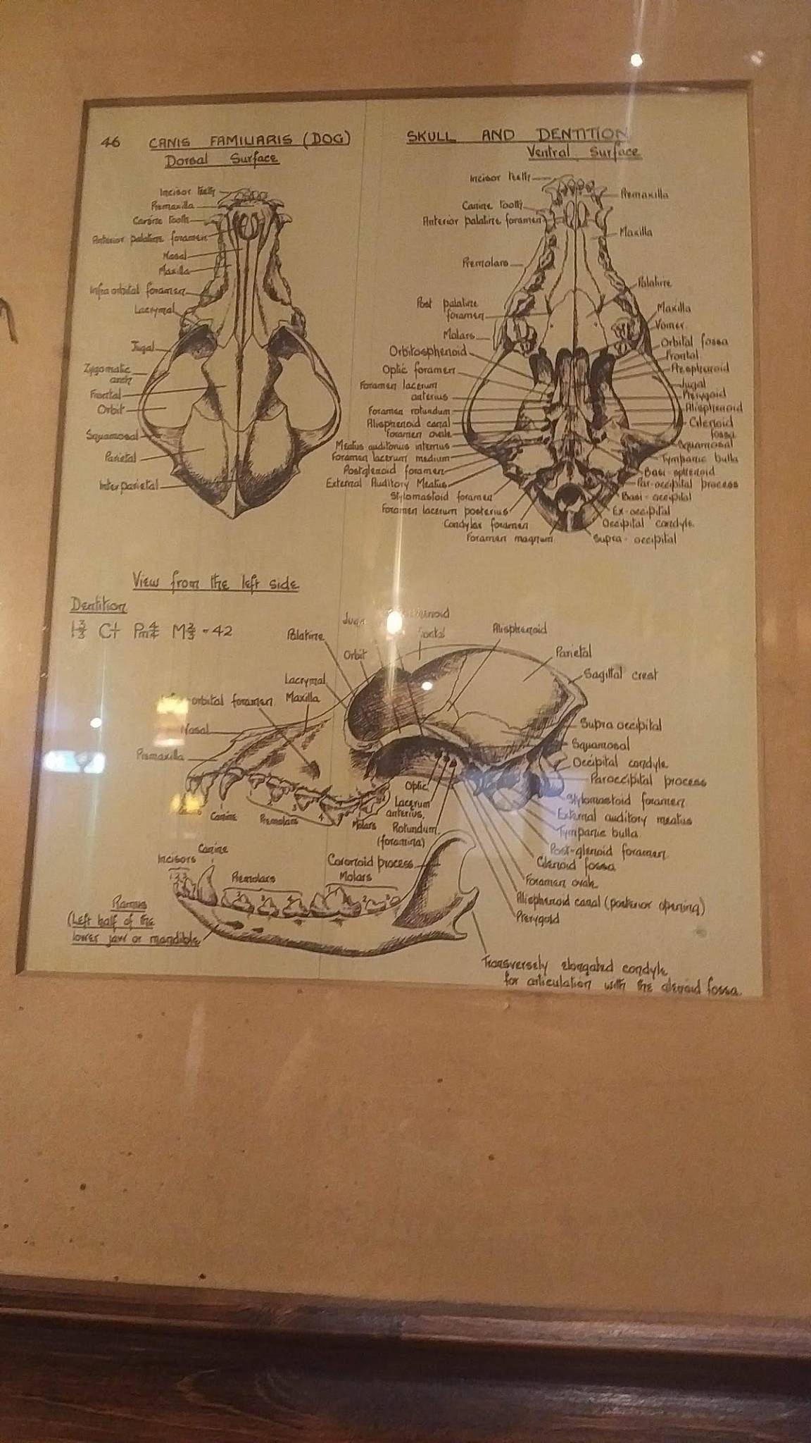 Menu at Pit & Pendulum pub & bar, Nottingham, 17 Victoria St