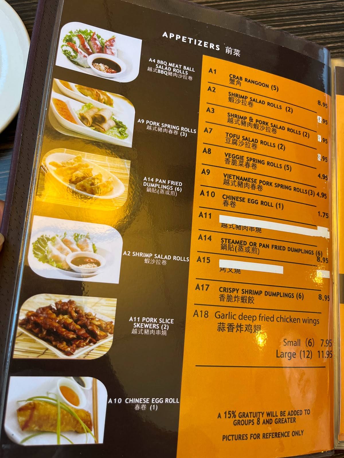 Menu at Asia Palace restaurant, Winnipeg, Pembina Hwy