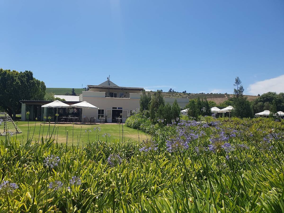 Menu at Spier Hotel Restaurant, Stellenbosch, Spier Wine Farm