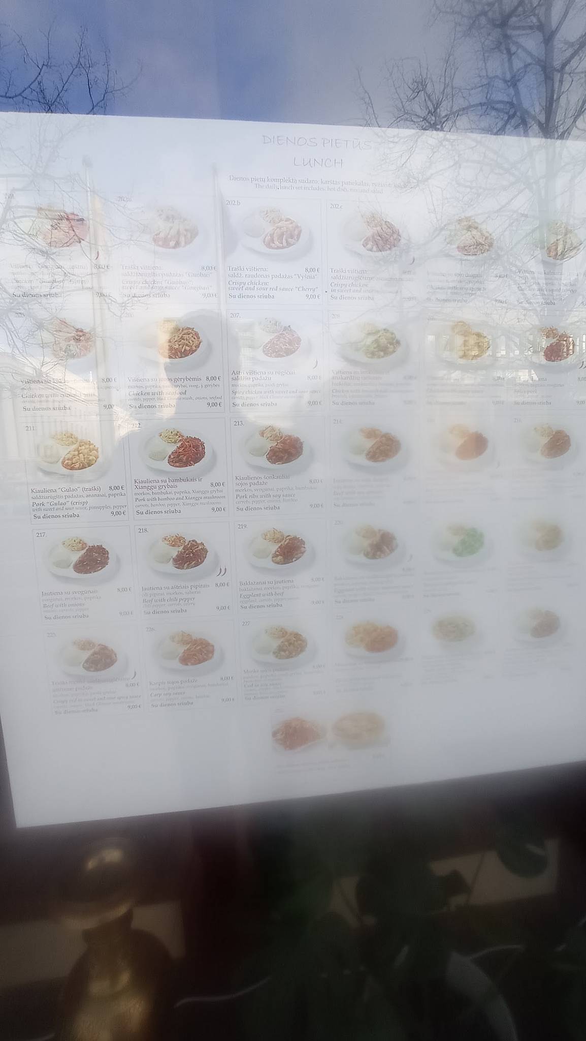 Menu at Asia Tasty restaurant, Vilnius, Gedimino pr. 64