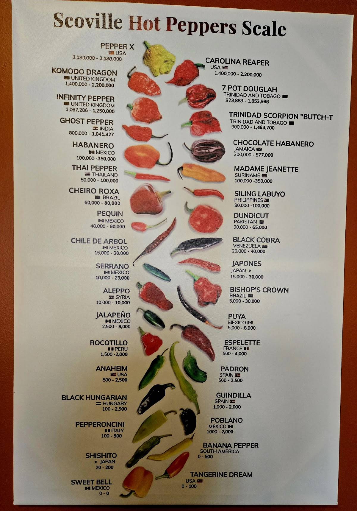 Menu at Bravo Burrito restaurant, St. Cloud