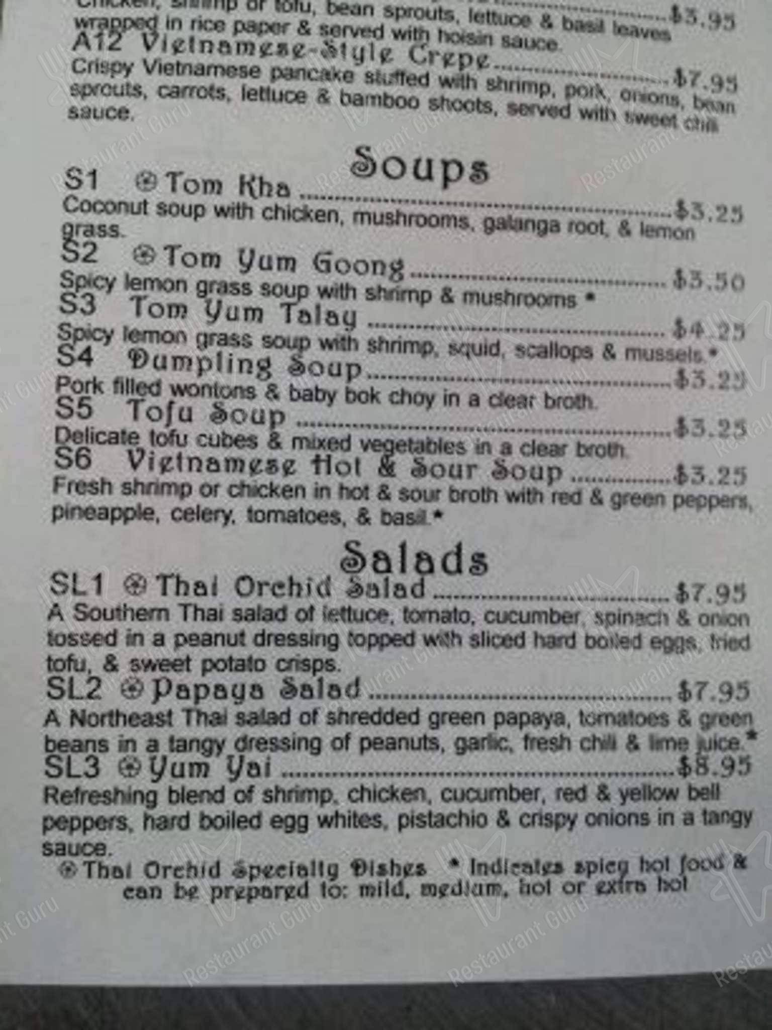 Menu at Thai Orchid Cafe, Williamsville