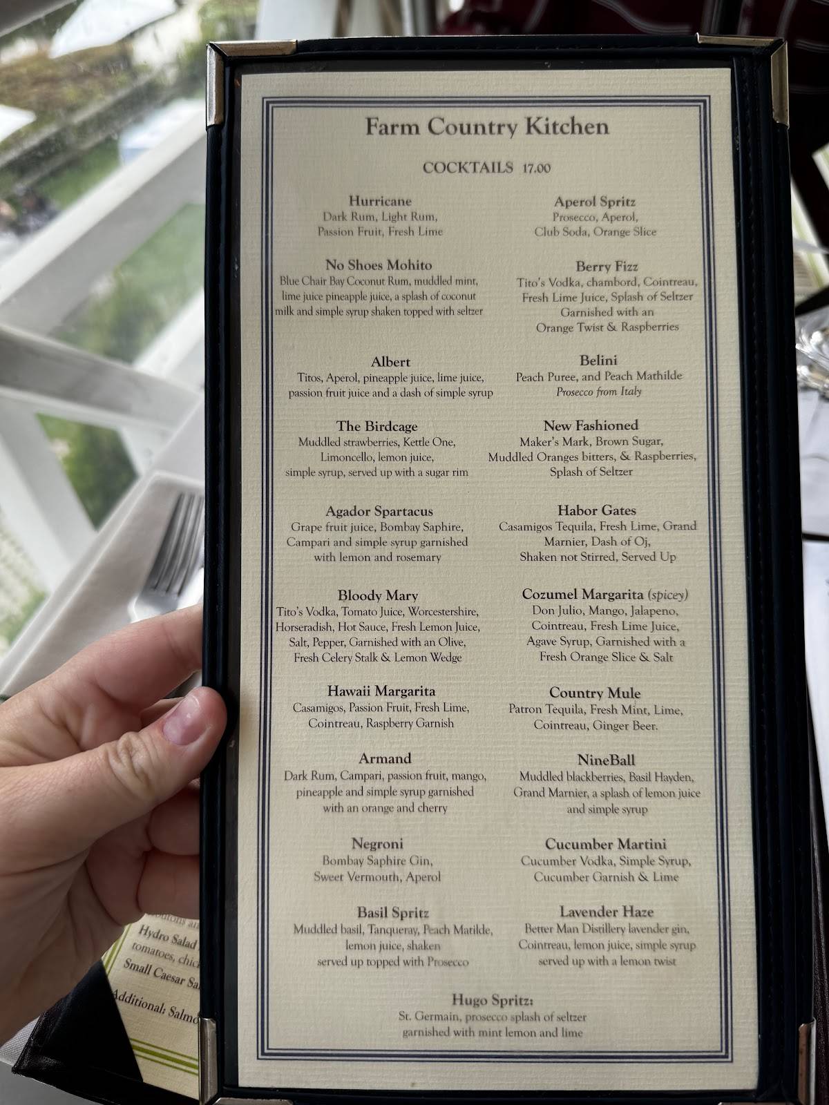 Menu at Farm Country Kitchen restaurant, Riverhead