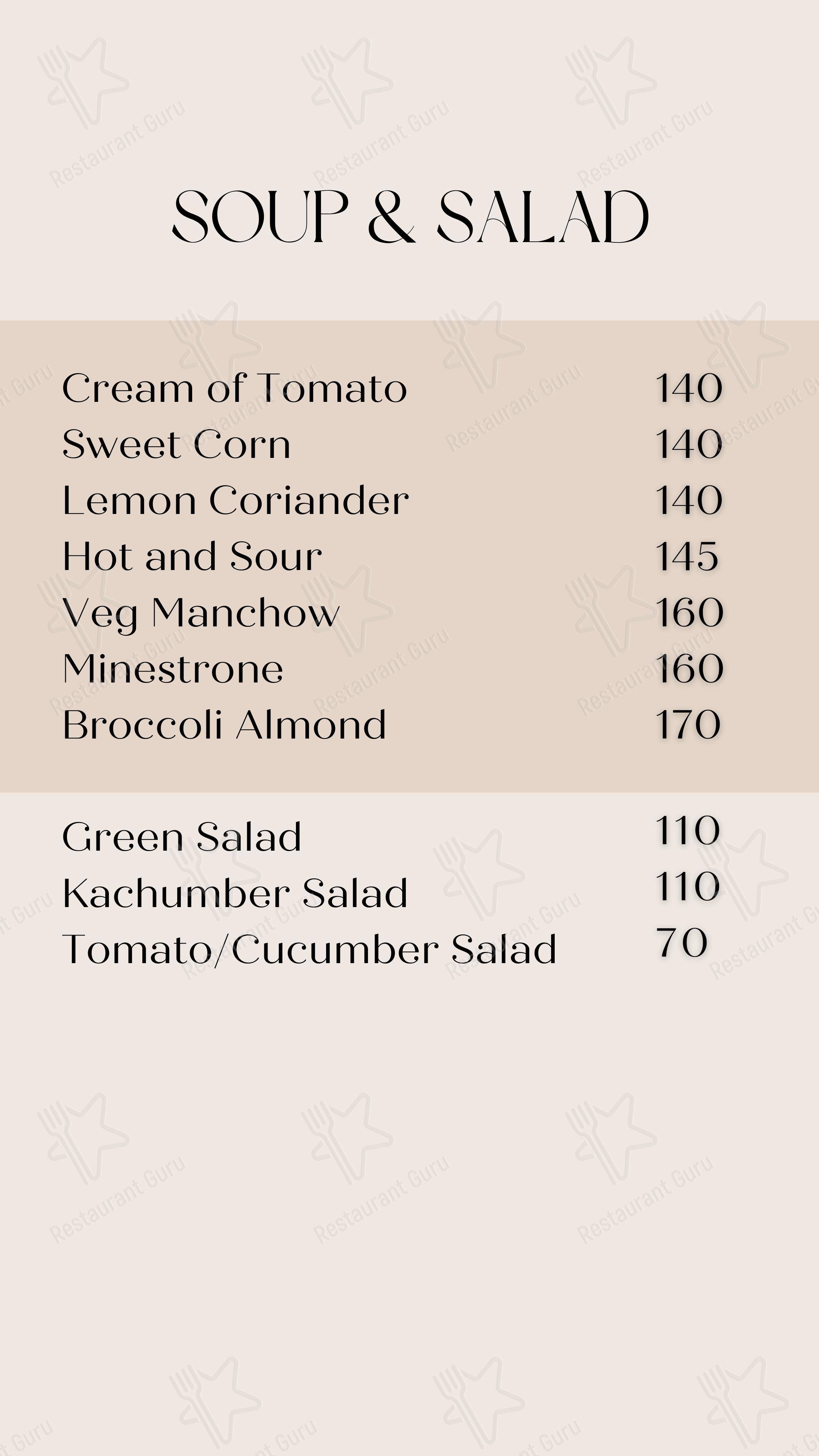 Menu at Indian Salt, Vadodara, Besides