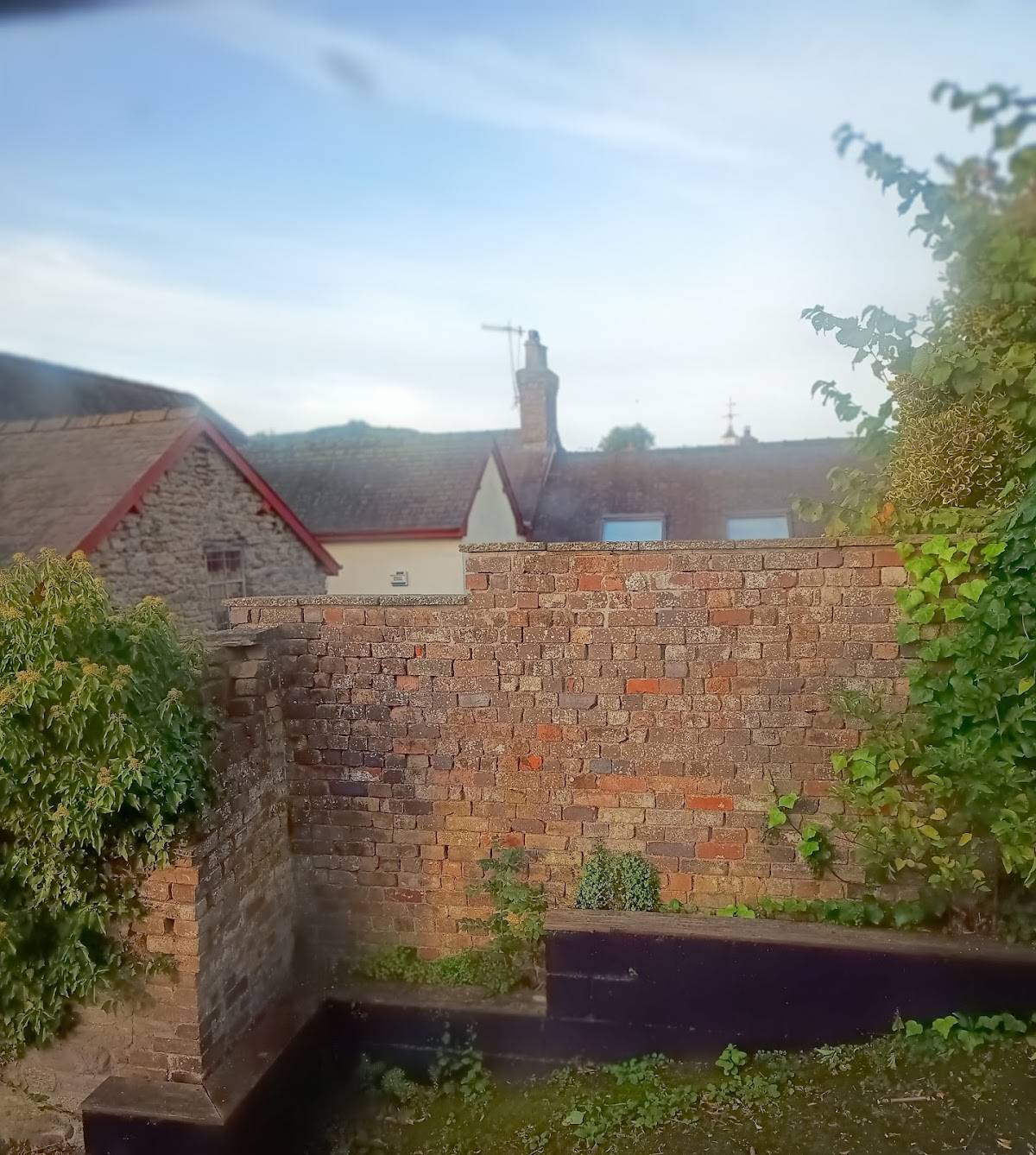 Menu at Sun Inn pub & bar, Clun