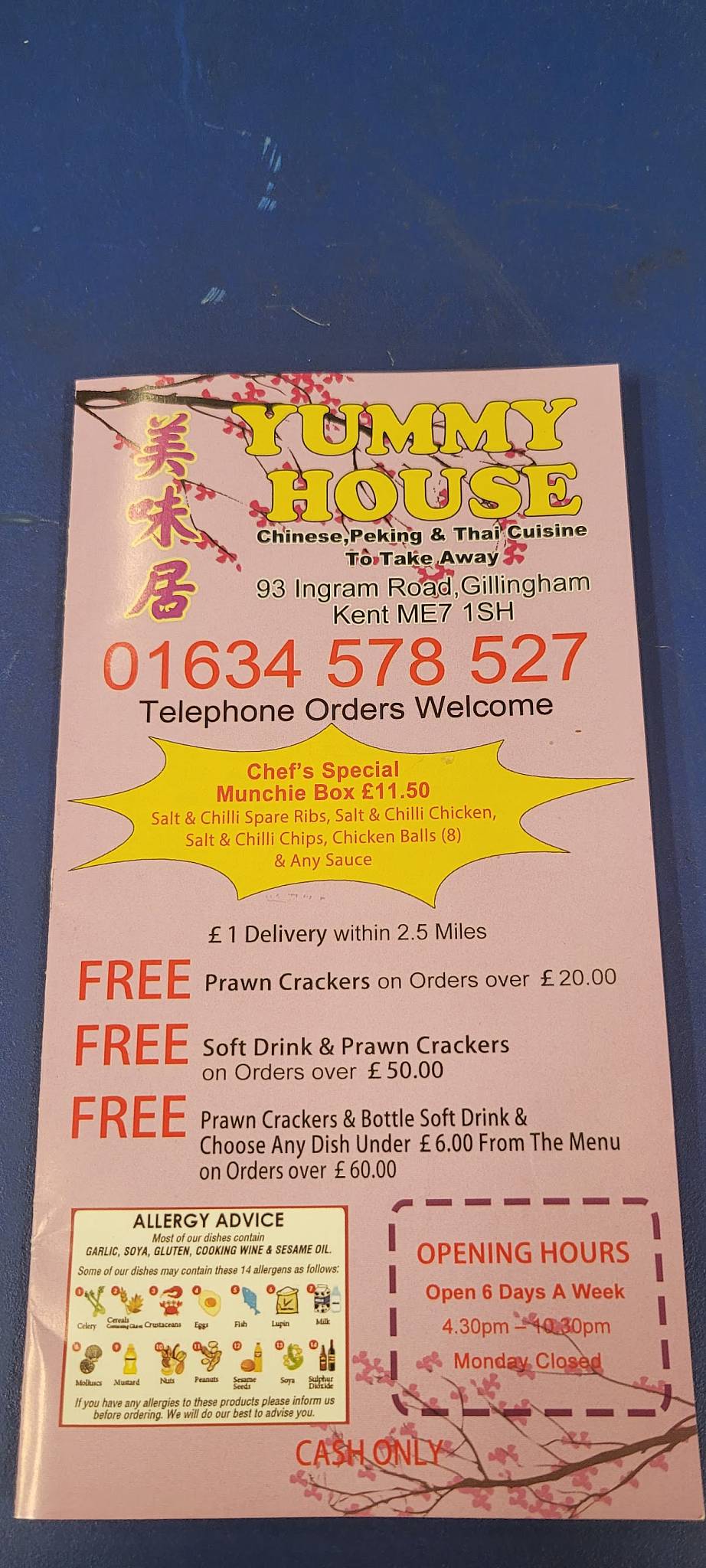 Menu at Yummy House restaurant, Gillingham
