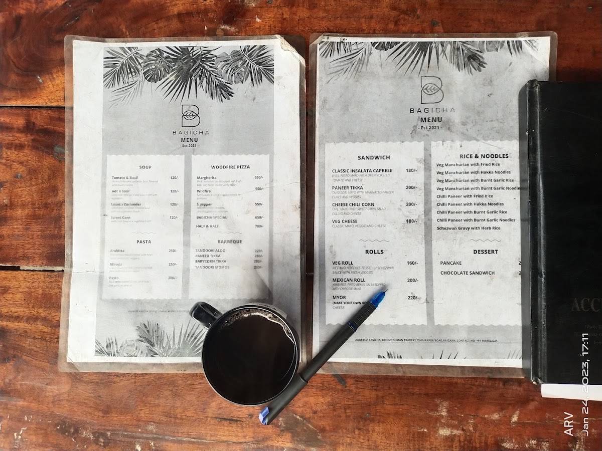 Menu at Bagicha, Raigarh