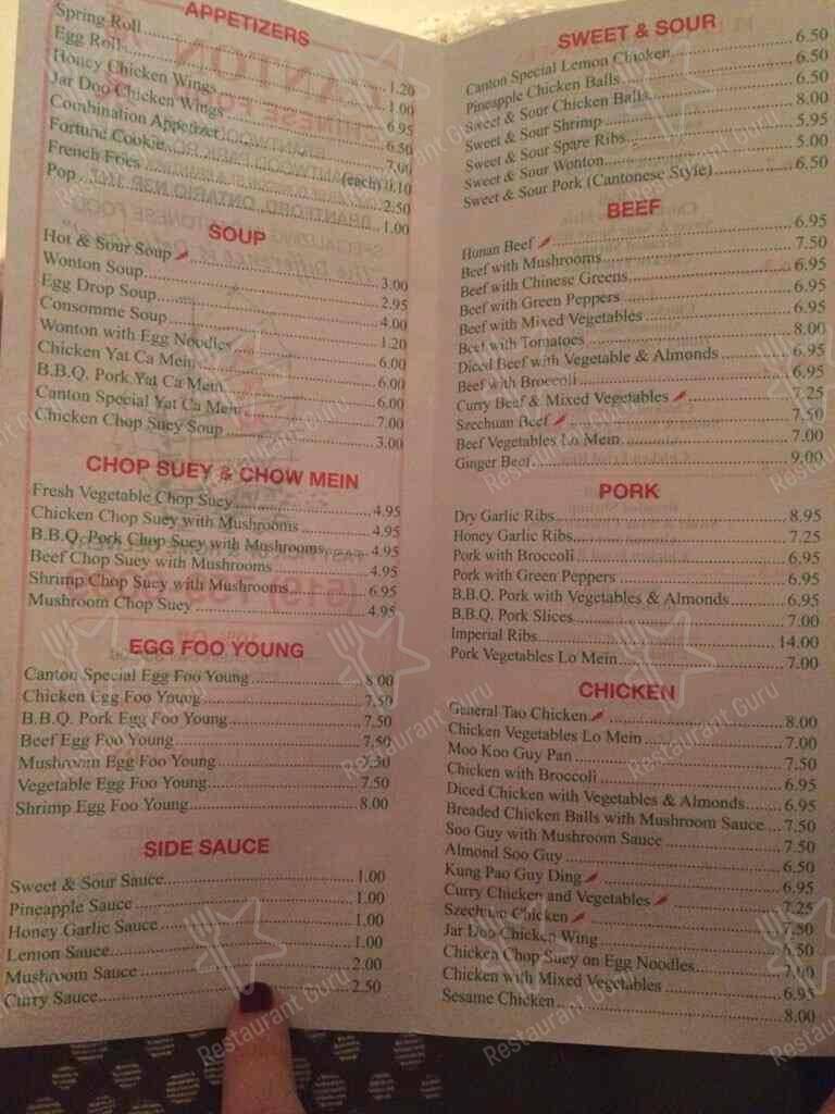Menu at Canton Chinese Food Take-Out restaurant, Brantford