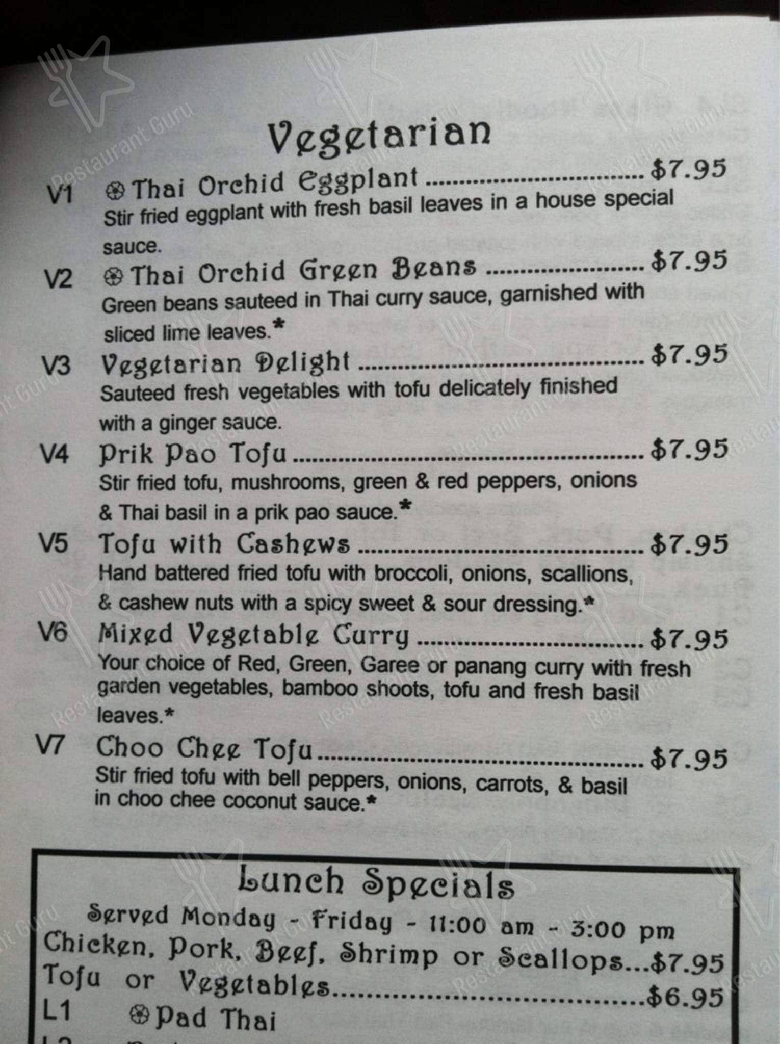 Menu at Thai Orchid Cafe, Williamsville