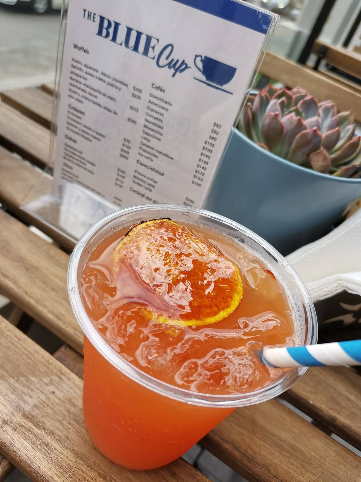 Carta del café The Blue Cup, Santo Domingo