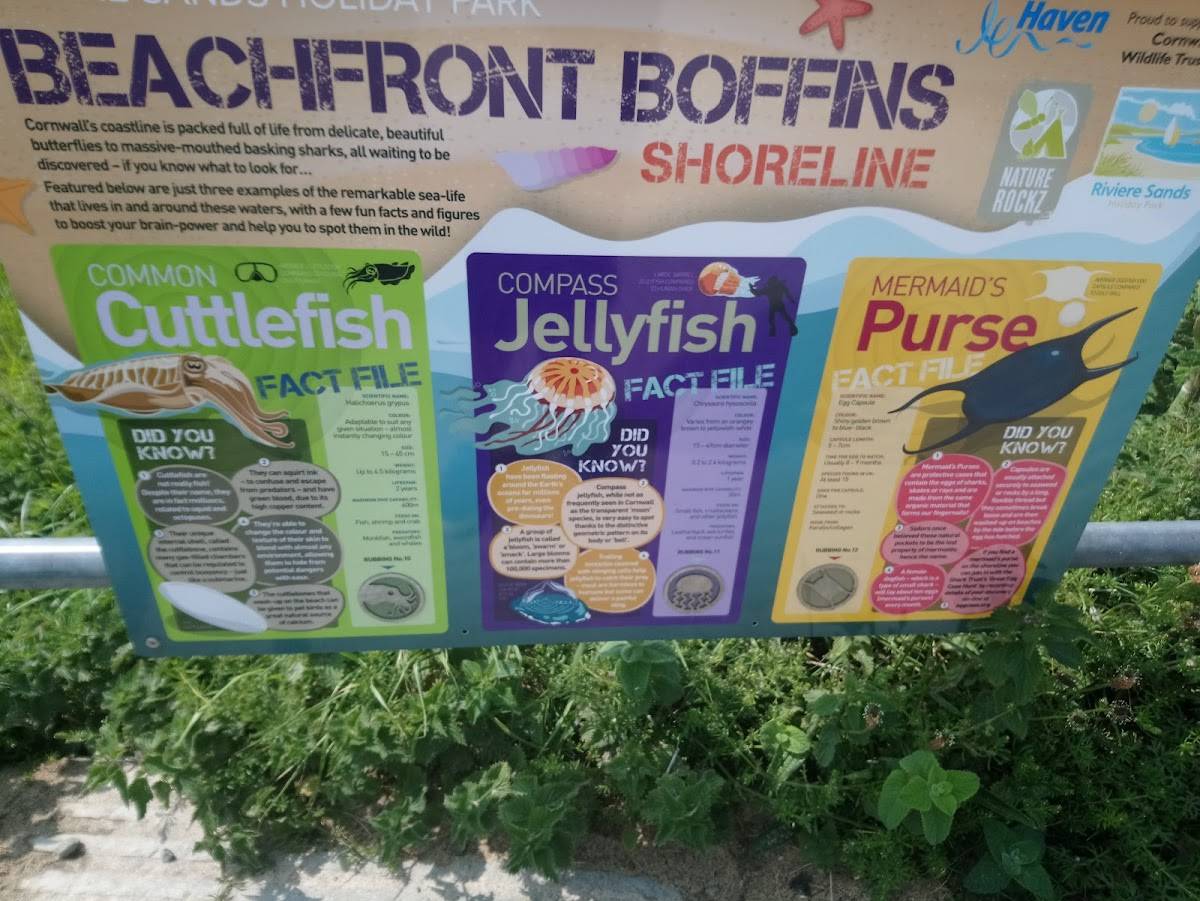 Menu at The Bluff Inn pub & bar, Hayle