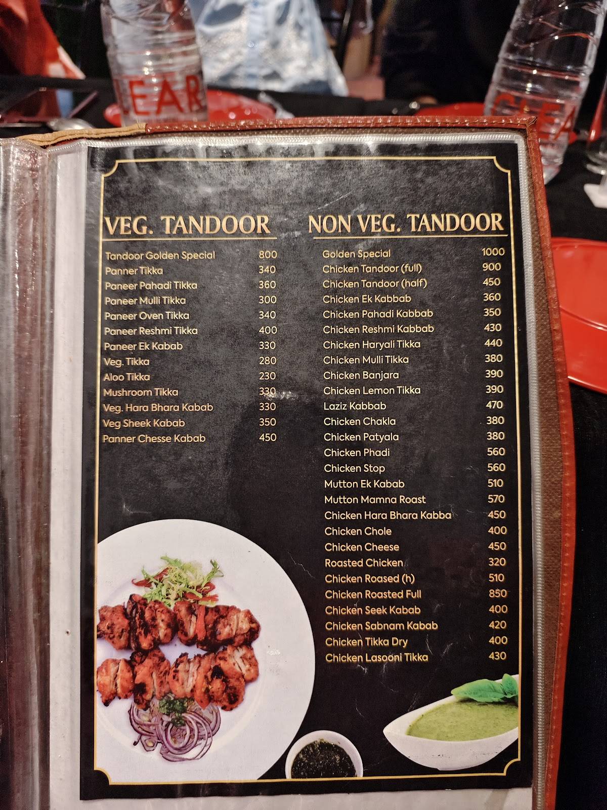 Menu at Golden Owl Bar & Restro, Daman