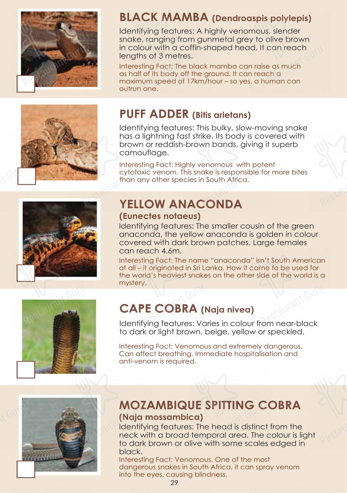 Menu at Neck & Deck Restaurant, Krugersdorp