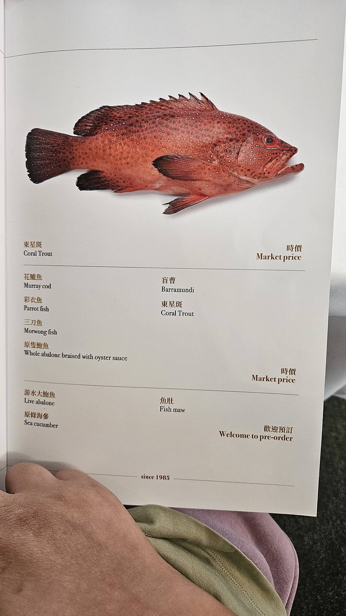 Menu at Shark Fin Chinese Restaurant, Keysborough