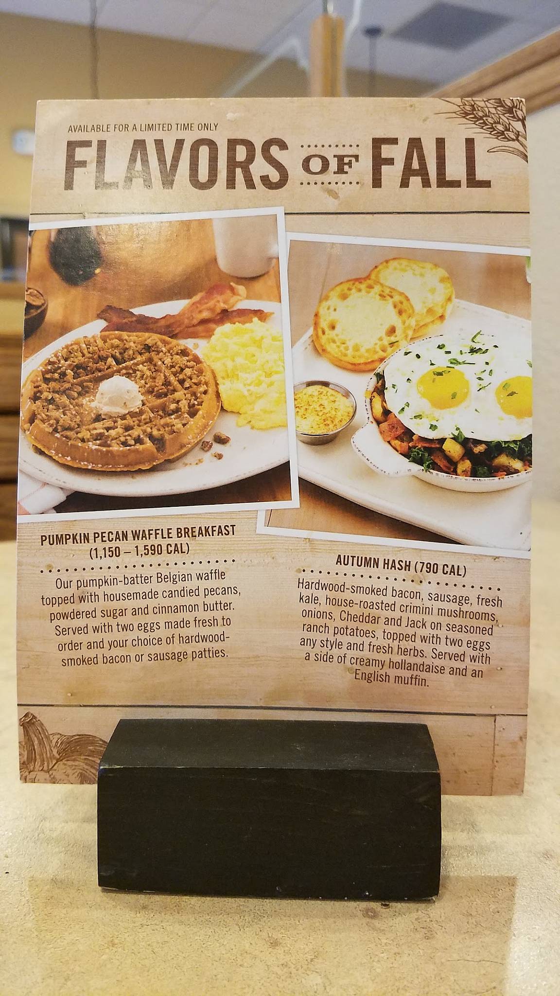 Menu at The Egg cafe, Lee's Summit, 410 SE Rte 291