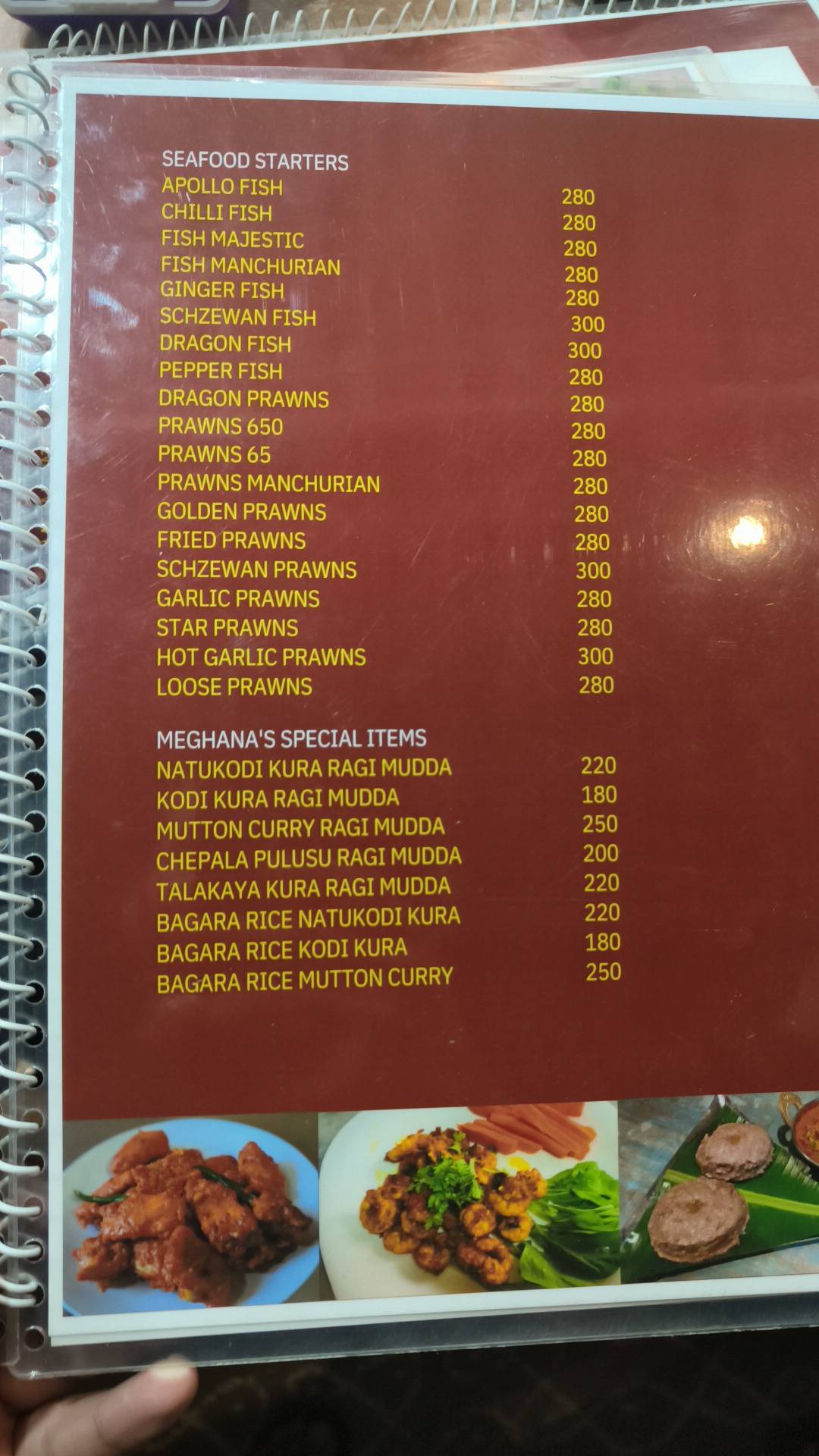 Menu at Meghana's Biryani, Hyderabad