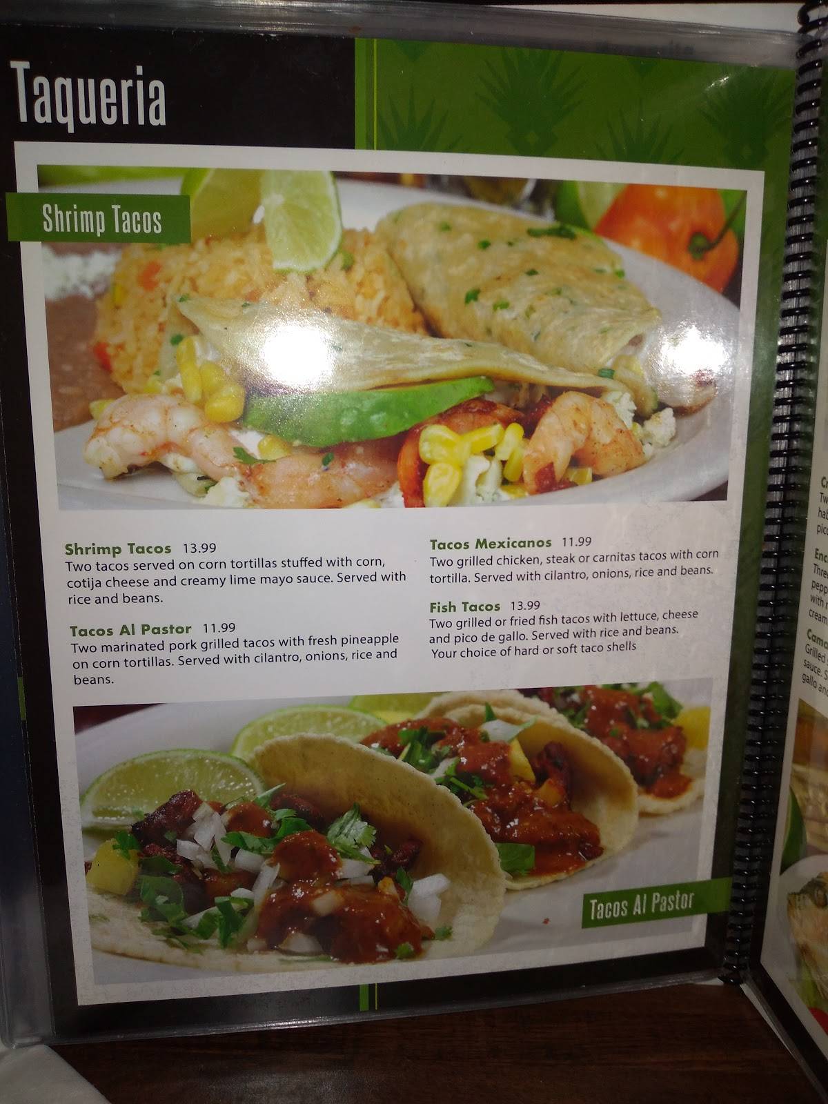 Menu at Señor Tequila Mexican Restaurant - Tampa, Tampa, N Dale Mabry Hwy