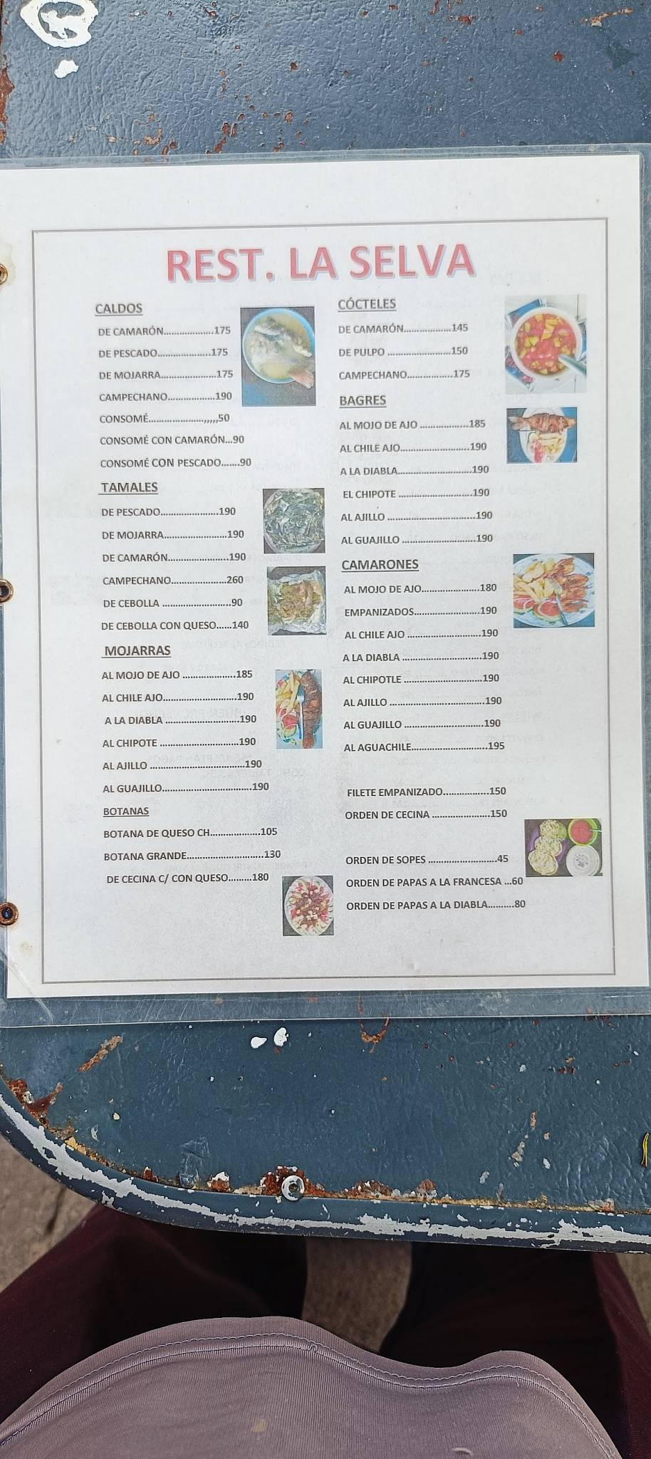 Menu at Rest. "LA SELVA" restaurant, El Estudiante