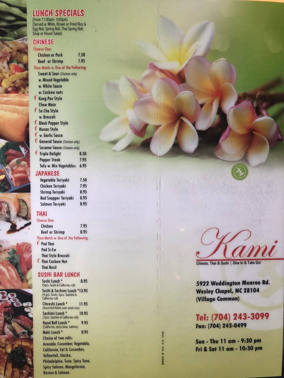 Menu at Kami Chinese Thai & Sushi restaurant, Wesley Chapel