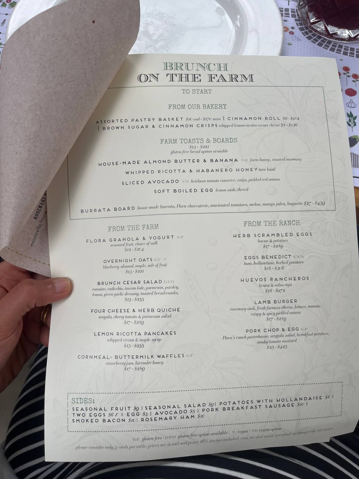 Menu at Flora Farms pub & bar, San José del Cabo, Carretera ...