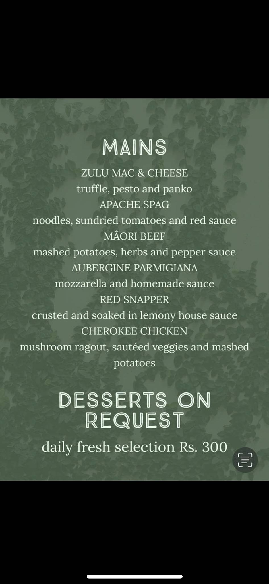 Menu at Totem Goa, Mandrem