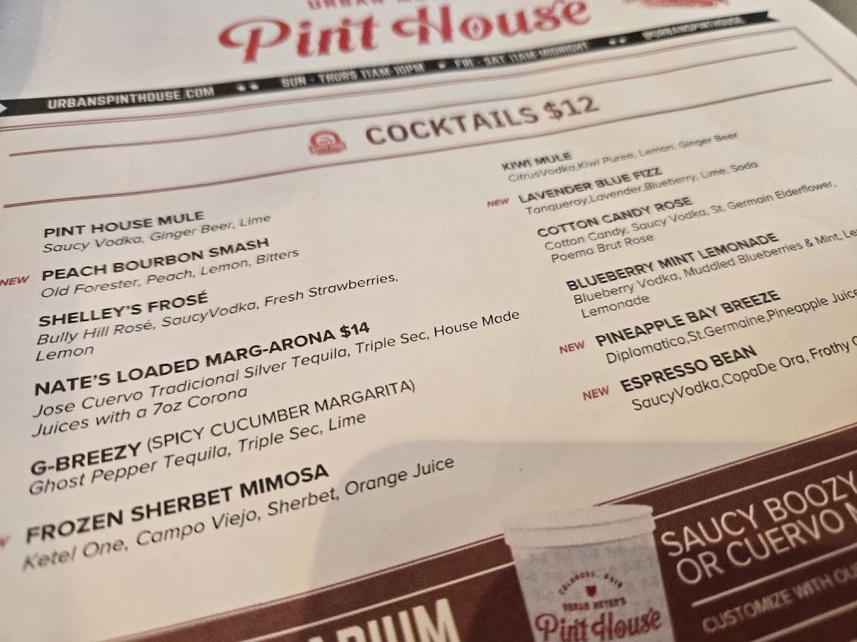 Menu at Urban Meyer's Pint House pub & bar, Dublin