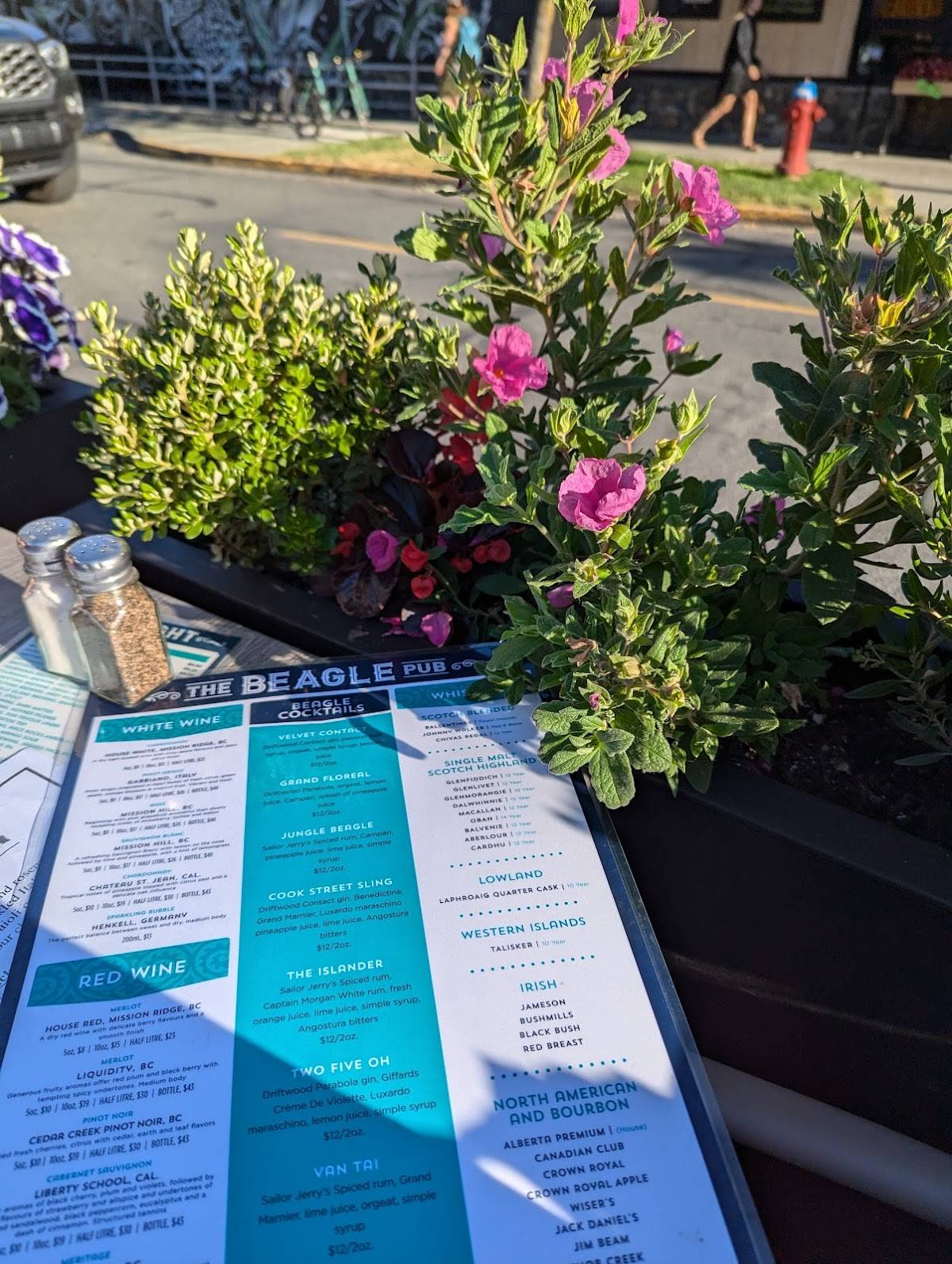 Menu at Beagle Pub, Victoria