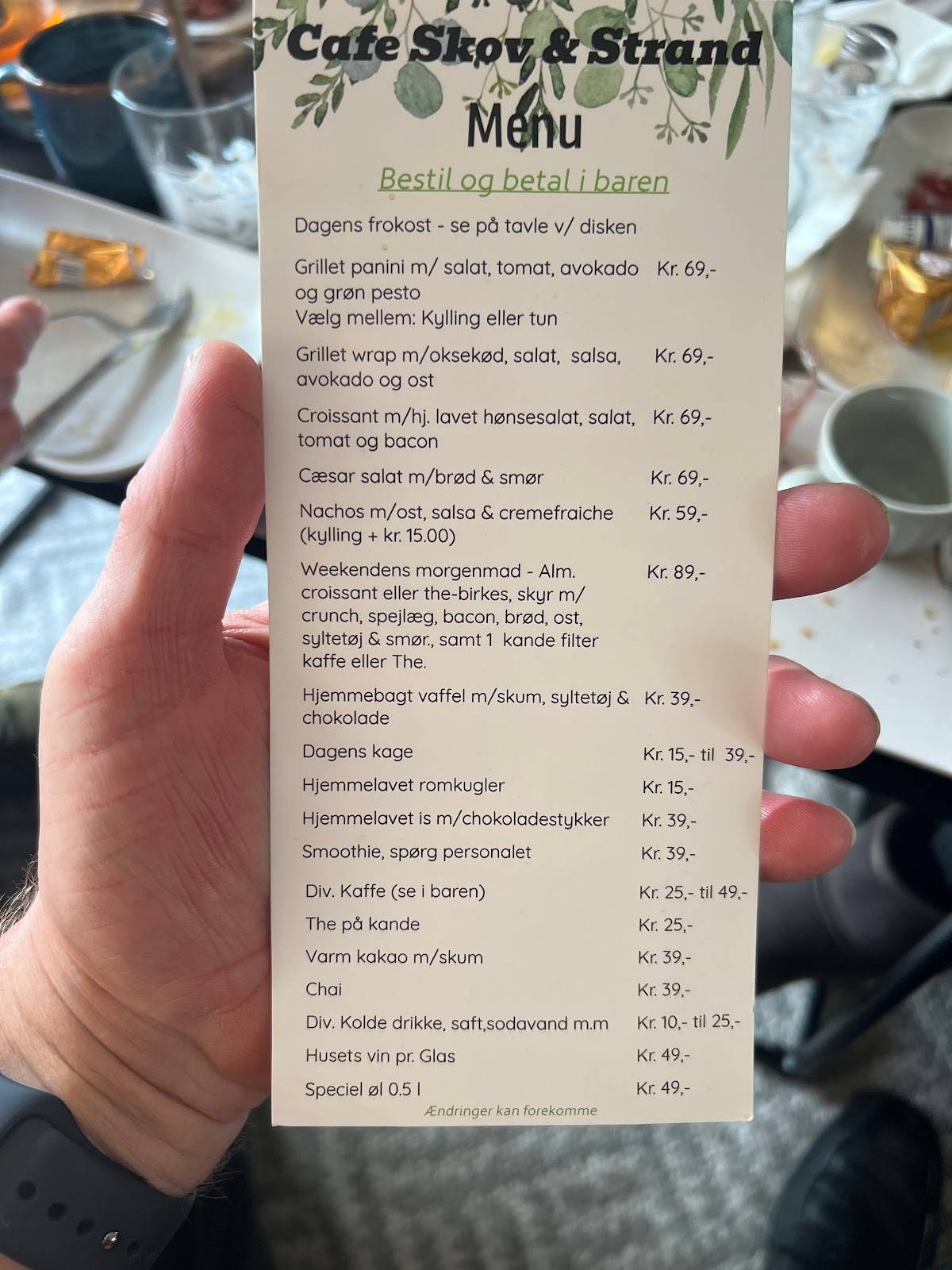 Menu at Cafe Skov & Strand, Denmark