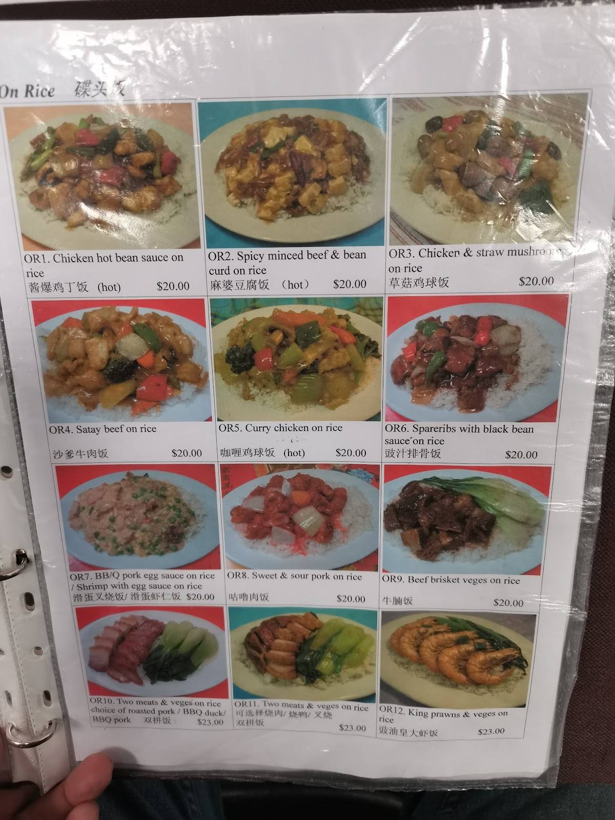 Menu at Delight Plus Chinese Restaurant, Napier