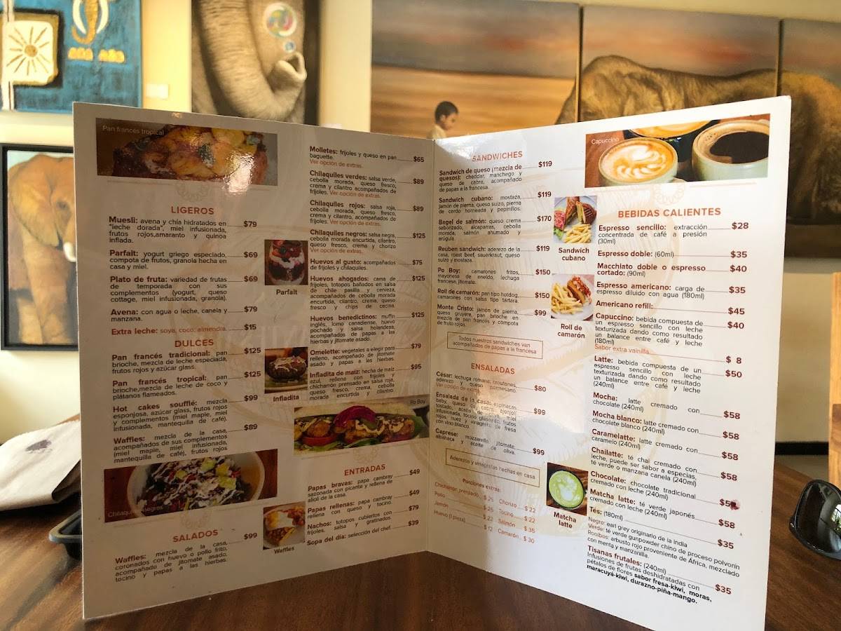 Carta de Elefante Sabio Café, Guadalajara