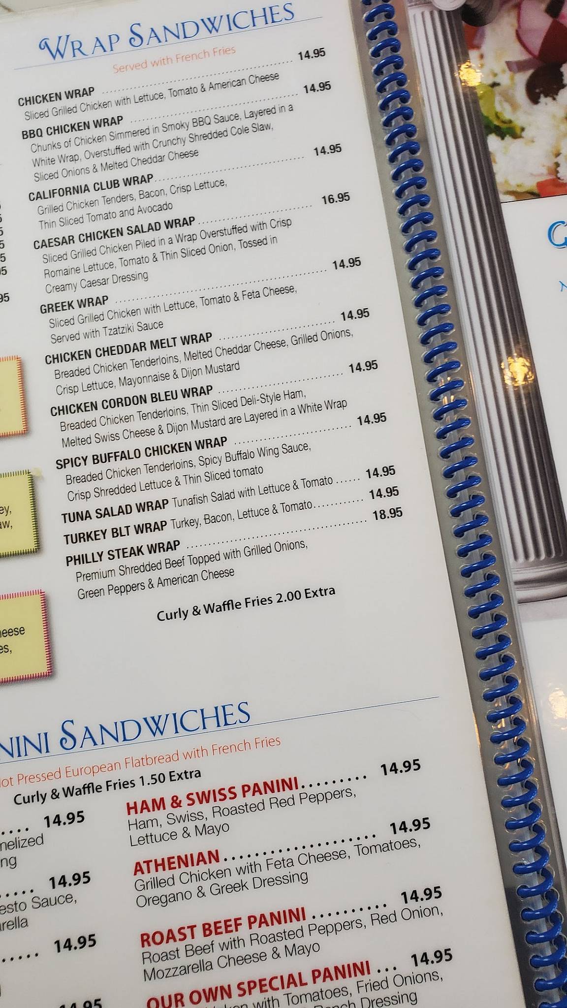 Menu at Oasis Diner restaurant, New York City, Flatbush Ave