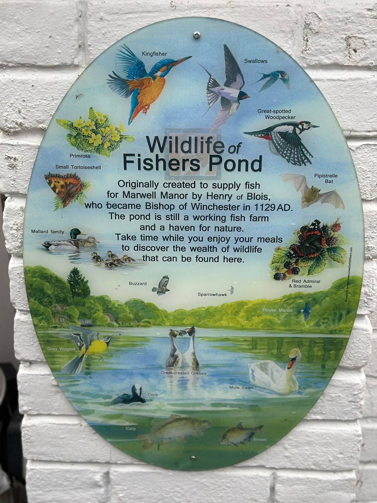 Menu at The Fishers Pond pub & bar, Eastleigh