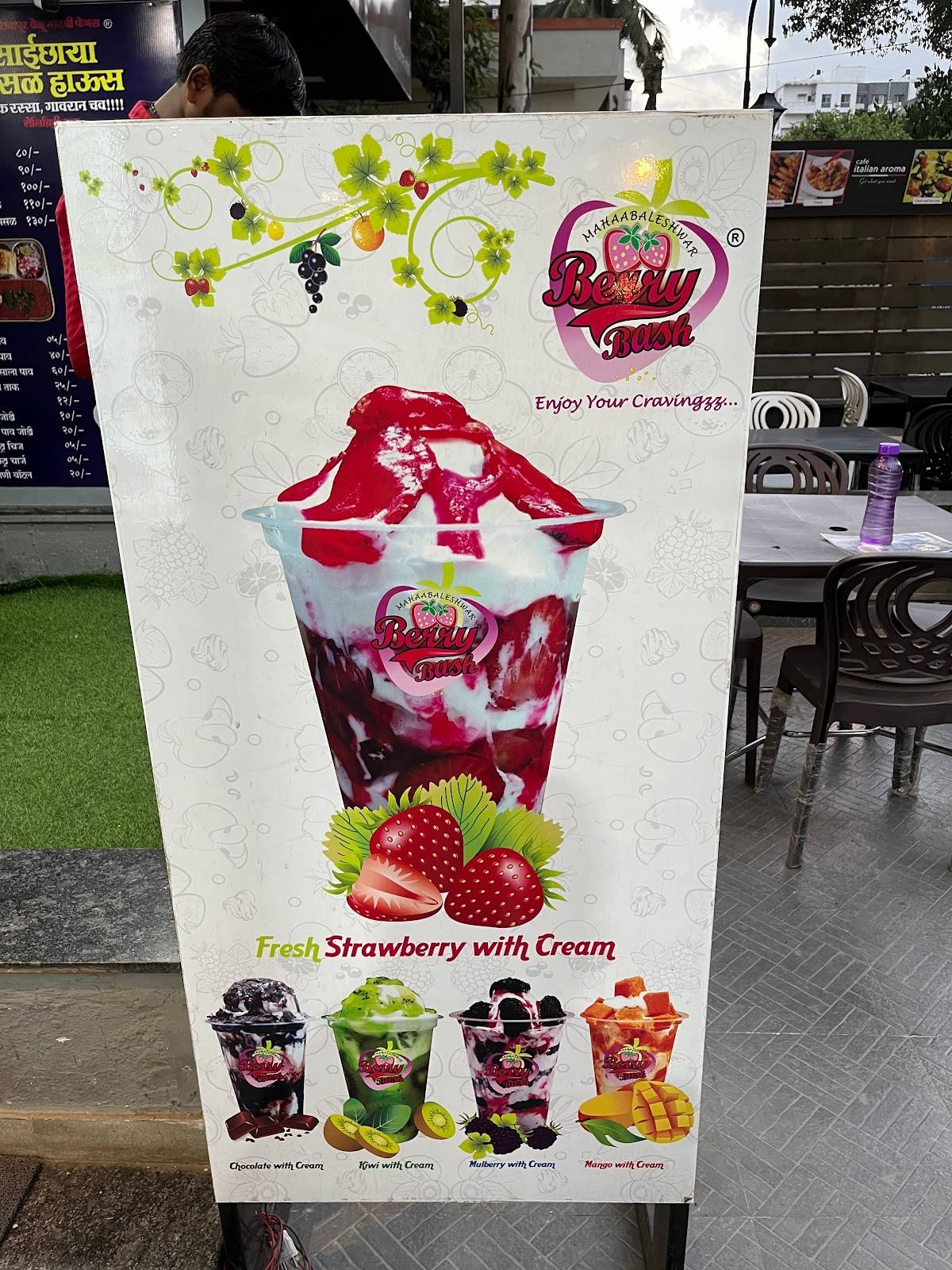 Menu at Mahabaleshwar Berry Bash, Pune, Ground Floor Millenium Plaza ...