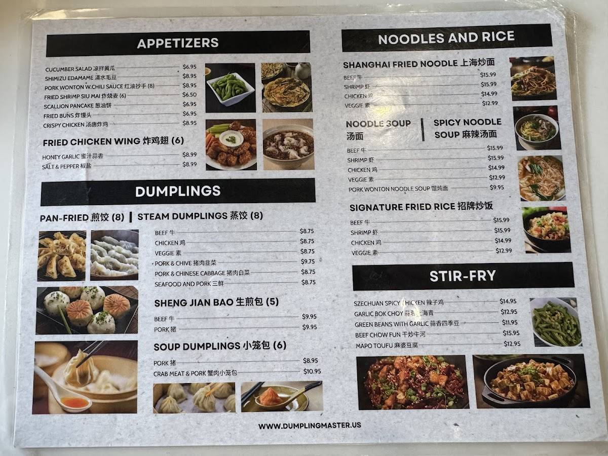 Menu at Dumpling Master Bubble Tea & Noodles restaurant, Peachtree City